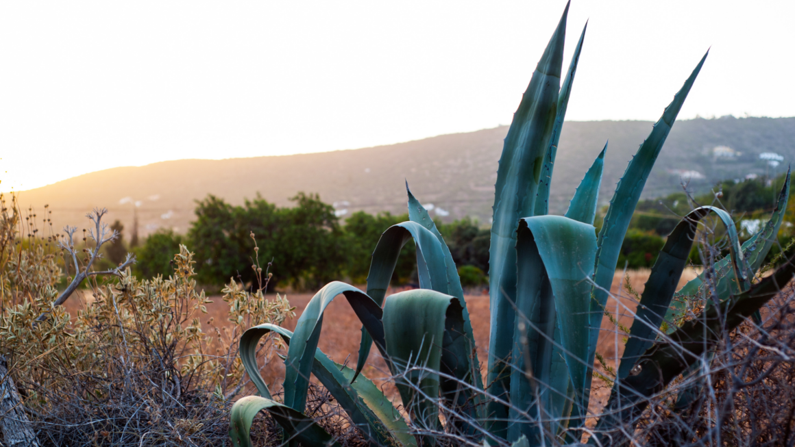 When is the best time to Visit Faro?