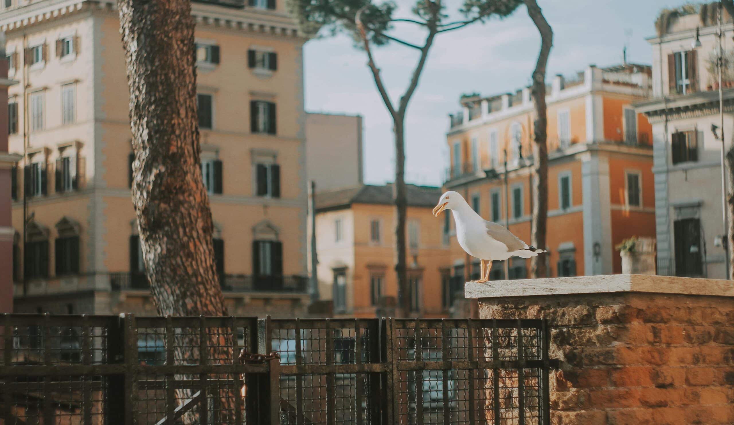 Week-end romantique à Rome : itinéraire 3 jours
